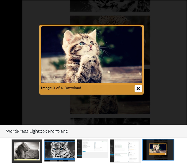 Топ бесплатных лайтбокс плагинов для wordpress | MnogoBlog